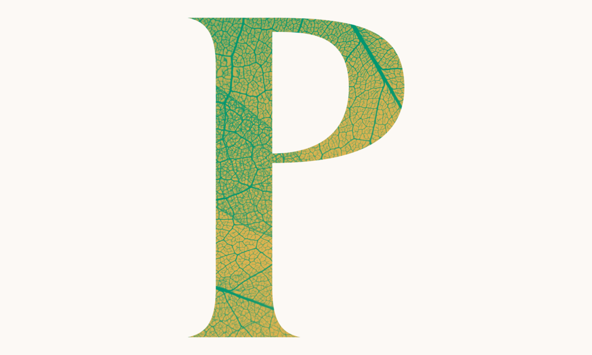 Elements – CATALYST project