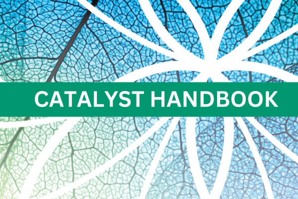 Project Results – CATALYST project